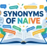 50 Synonyms for Didn’t: (Meanings and Usage Examples 2026)